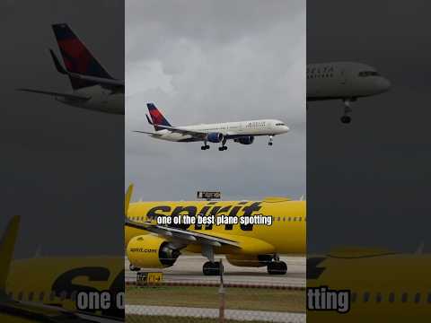 This is one of the BEST plane spotting airports in Florida! #florida #fortlauderdale #planespotting