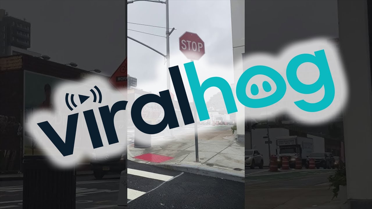 Fierce Winds Whip Stop Sign Back and Forth || ViralHog