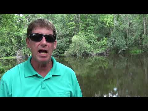 Phosphate mining