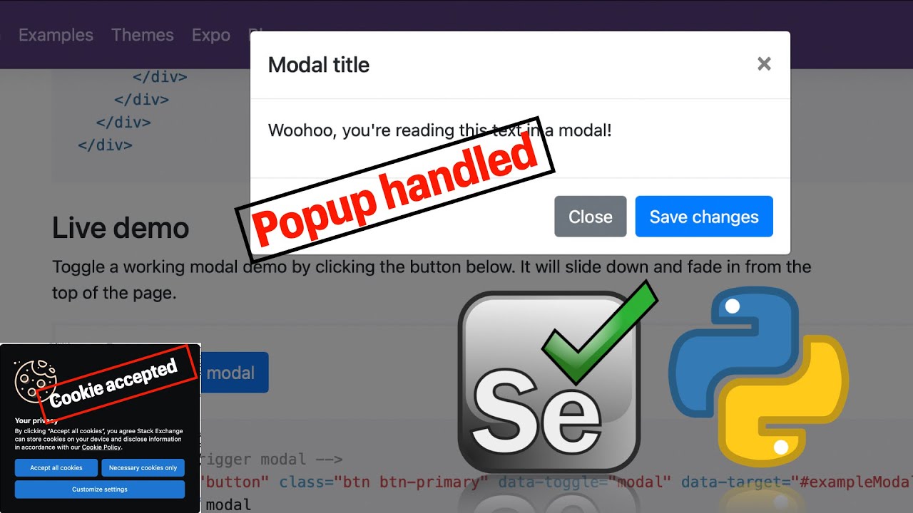Hands-On Python Selenium: Dealing with Popup Dialogs and Cookie Consent
