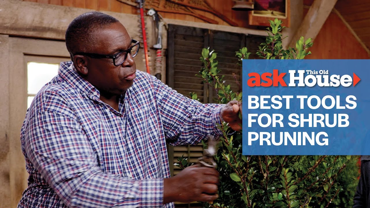 Best Tools for Shrub Pruning | Ask This Old House