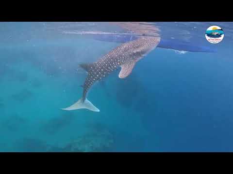 Desa Wisata Botubarani