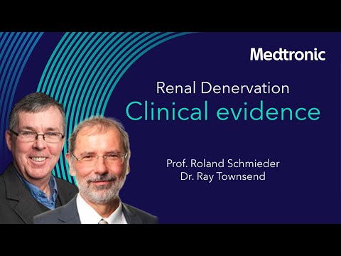 The Nephrologist's perspective on renal denervation