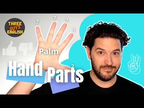 What are the finger names and hard parts - English Vocabulary Lesson