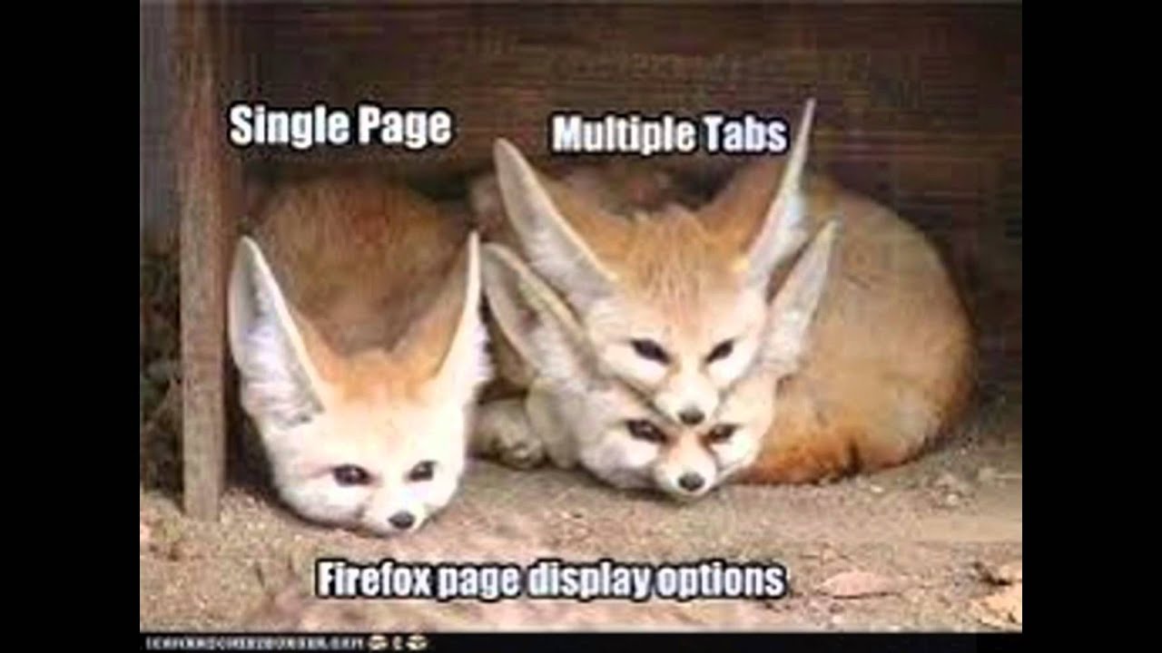 Programmer's lifecycle: Bad programming everywhere