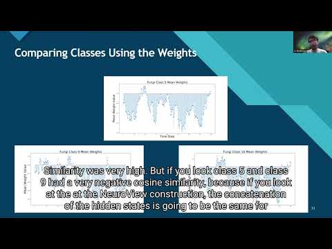 NeuroView-RNN: It's About Time