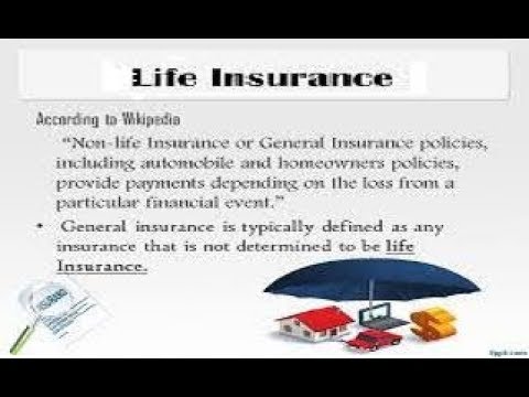 Term Life Insurance Definition