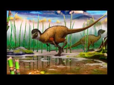 ‘Feathers, 100 million years older than birds’ | Dear Kitty. Some blog