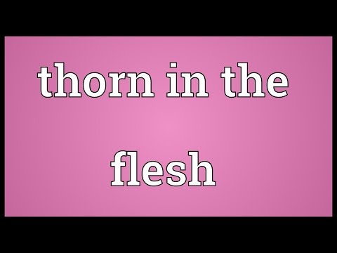 Thorn in the flesh Meaning