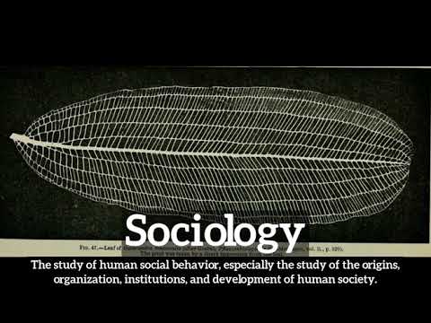 How to Say Sociology in English? | How Does Sociology Look? | What is Sociology?