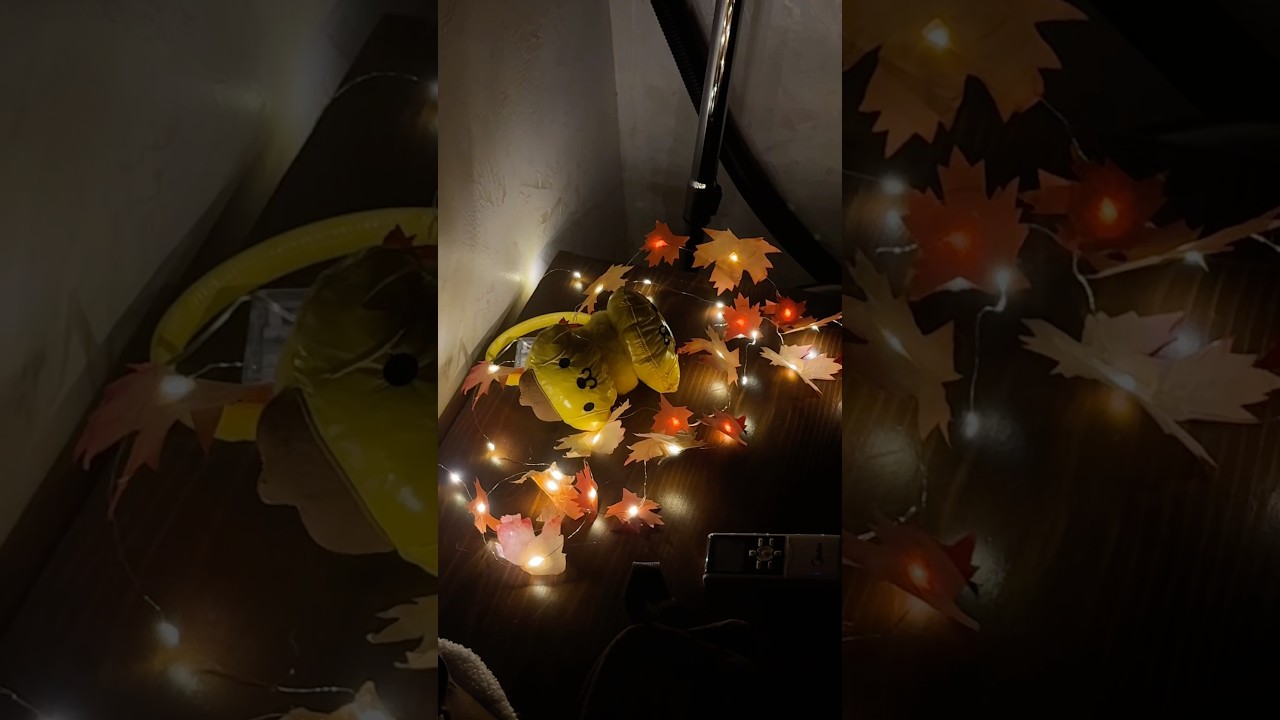 #diy fall room decor/maple leaf lights🍁