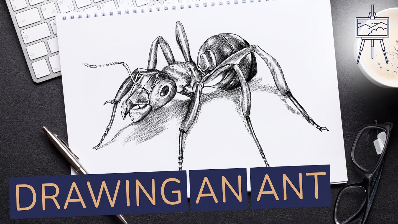 Drawing Ants Like a Pro in No Time #drawingtutorial