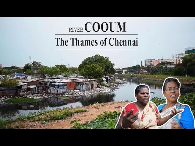 Pollution of Cooum River, India: Causes, Consequences, Actions