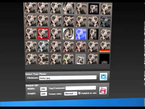 Free GIF Effect Maker