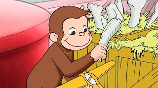 George and the Dinosaur Bones! ???? | Curious George Compilation | Adventure & Play