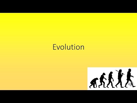 Evolution Quiz (GCSE Science OCR Gateway)