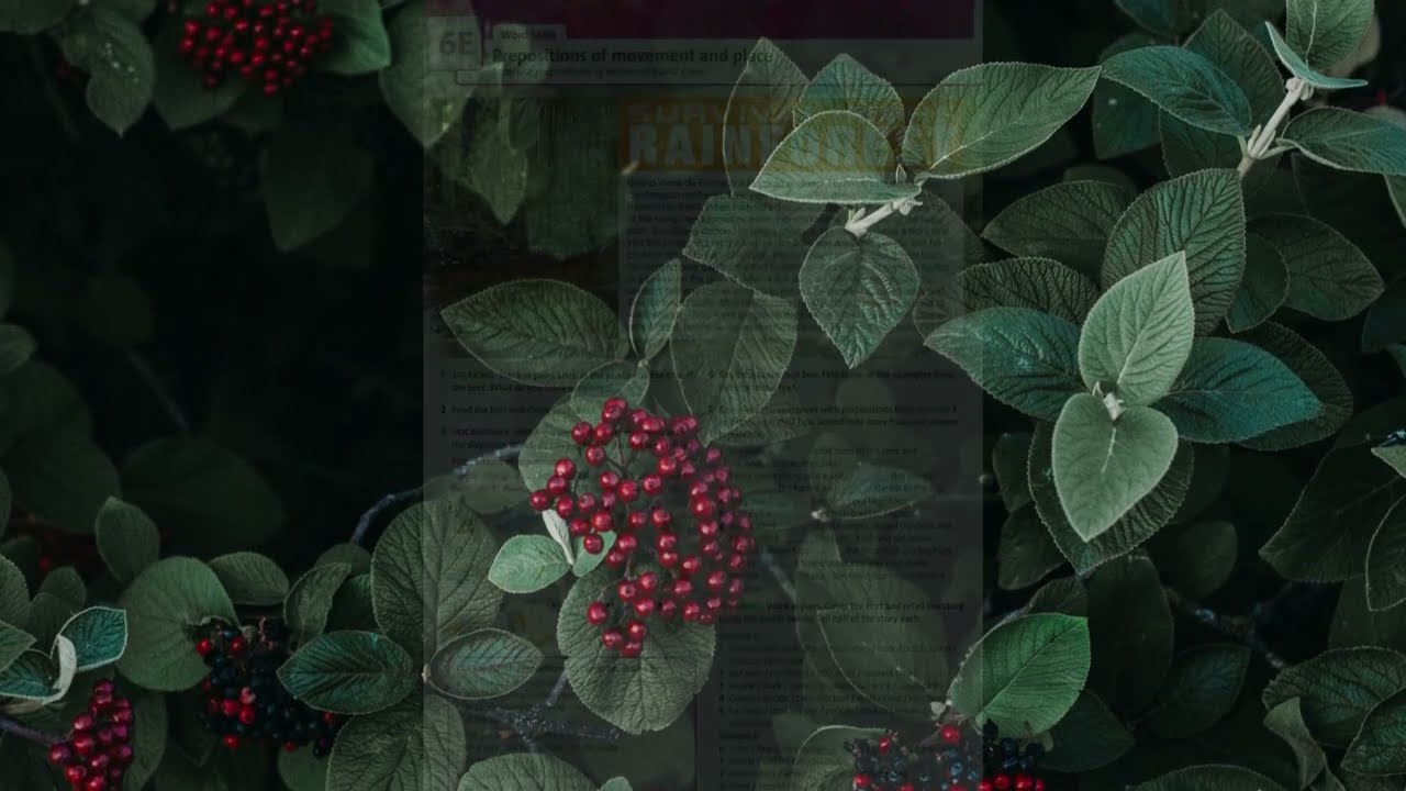 SOLUTIONS ELEMENTARY 3rd SB - UNIT 6 - GOING WILD