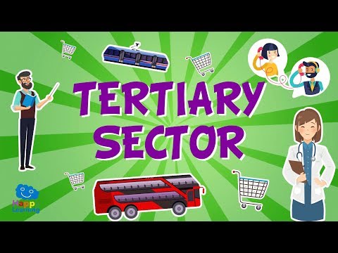 The Tertiary Sector : Jobs and their classification | Educational Videos for Kids