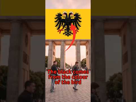 The Meaning of the German Flag! 🇩🇪🤔 #shorts #geography #flag #history #viral