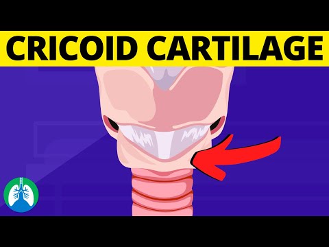 Cricoid Cartilage (Medical Definition) | Quick Explainer Video