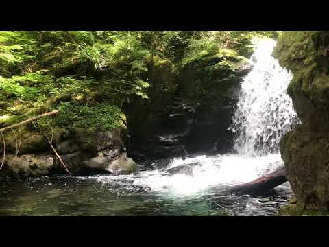 Verlot Campground, WA | The Dyrt