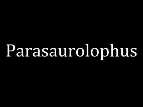 How to pronounce Parasaurolophus