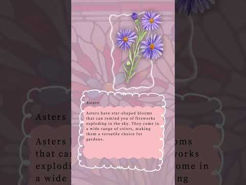 Inspiring designs to explore this summer - Asters name of the flower looks like firework