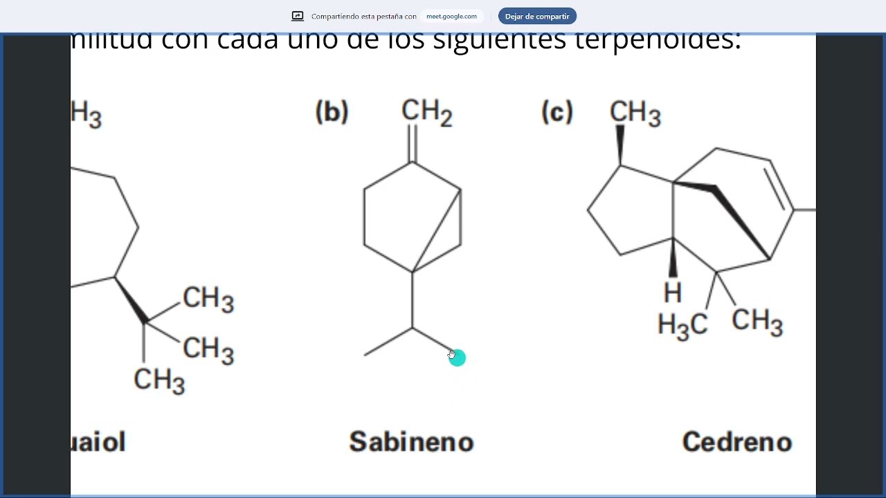Clase 2: Terpenos, Regla del isopreno, biosíntesis de bloques de construcción y Hemiterpenos