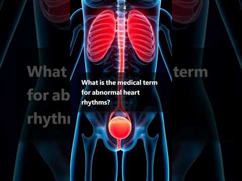 Part 405 | The Ultimate Anatomy Quiz – Do You Know Your Body?
