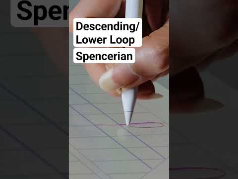 Spencerian Lower Loop/ #descendingstemloop #spencerian #handwriting #calligraphy #shortsfeed
