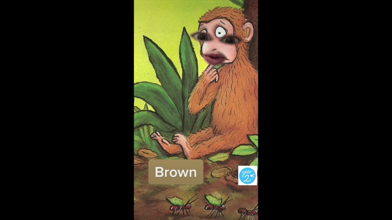 Adjectives for Little Monkey