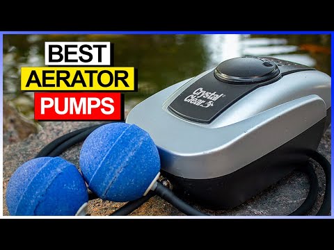 Top 4 Best Aerator Pumps for Your Pond or Aquarium in 2024 "[Don't Buy Until You WATCH This!]"