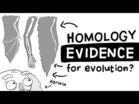 Is Homology Evidence for Evolution? (Long Story Short, Ep. 1)