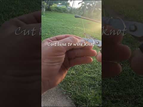🎣How to rig a Sabiki bait jig 🐟 rod #shorts