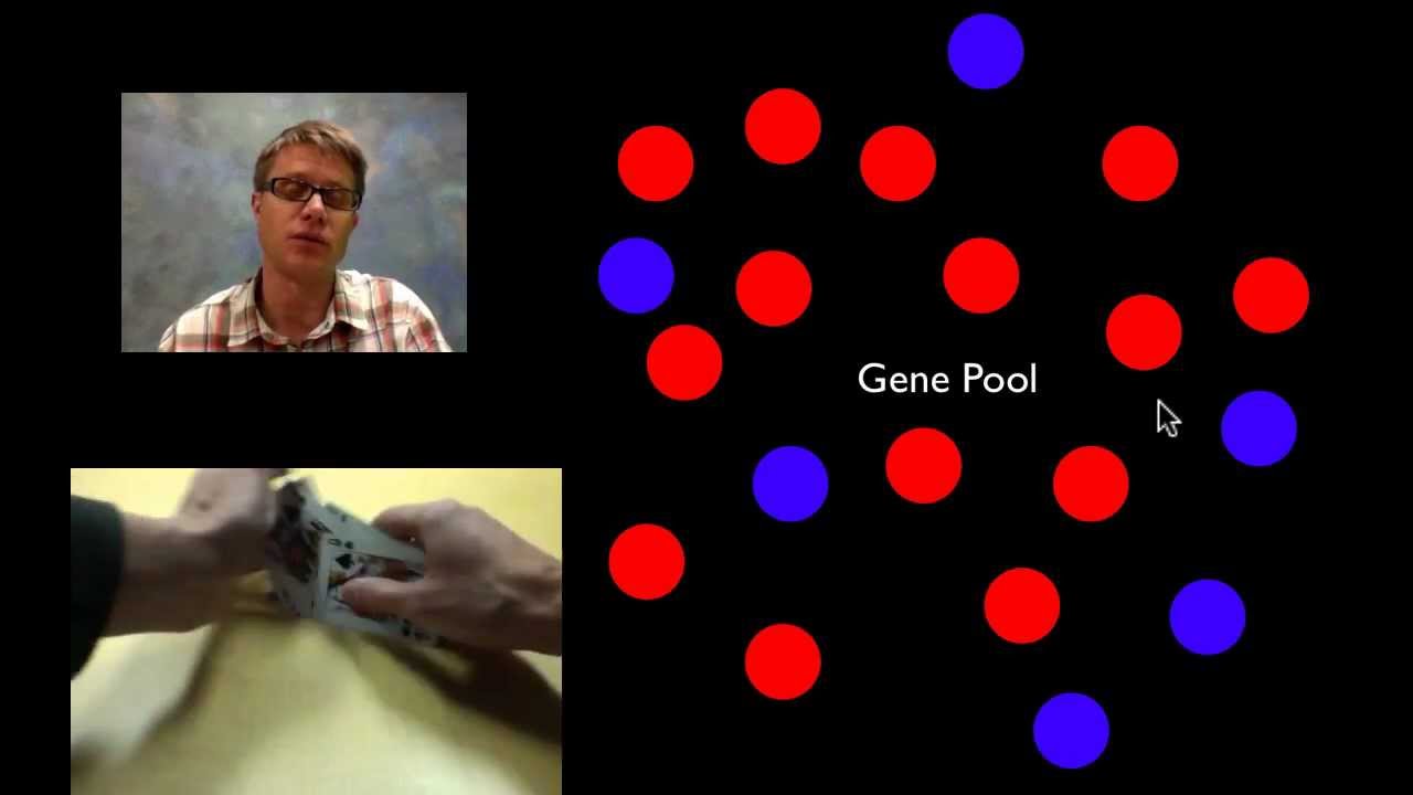 Microevolution