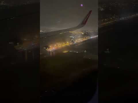 Plane landing at Taoyuan Airport #taiwan #airplane #2025 /1/1
