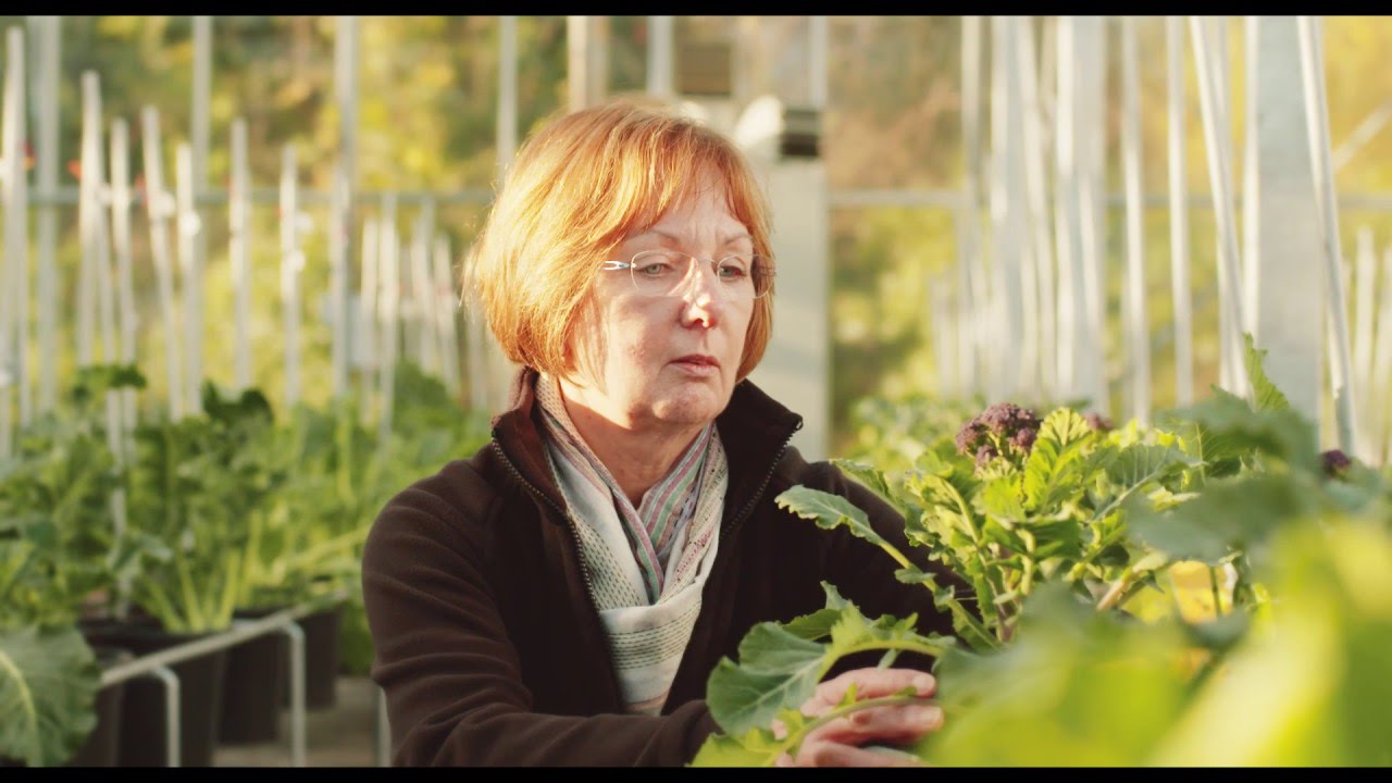 Plant Breeding Matters | Protecting and promoting innovation