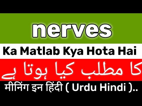 Nerves Meaning | Nerves Meaning In Urdu | Nerves Ka Matlab Kya Hota Hai | Nerves Ka Meaning Kya Hai