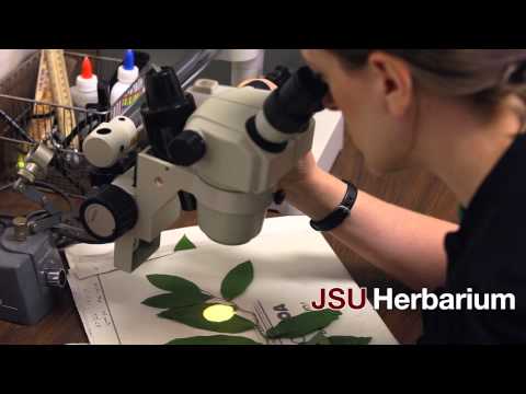 JSU Department of Biology Video Tour