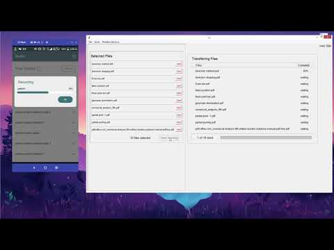 python project demo