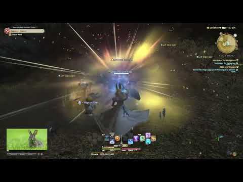 Steam Community :: Video :: Final Fantasy XIV ARR - SQ - Harriers of ...
