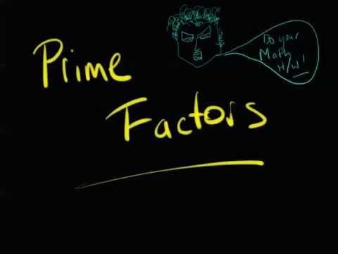 Prime Factors