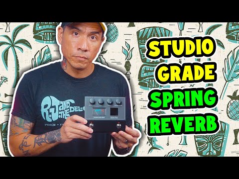 Echo Fix EF-P2 Spring Reverb Pedal | Reverb