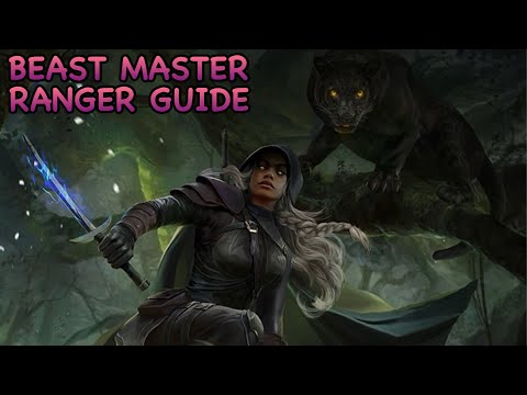 D&D5E: BEAST MASTER RANGER
