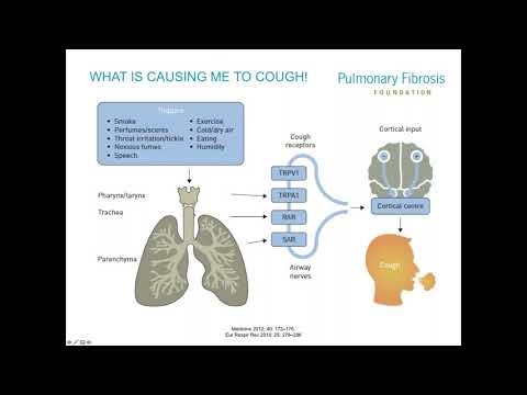 Cough 101: An Overview of Cough in Pulmonary Fibrosis