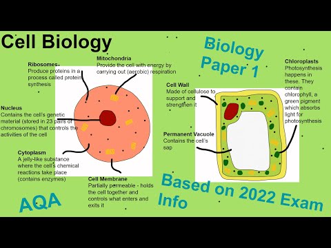 GCSE AQA Biology Revision Guide for 2022 Exam Info - Paper 1 Cell Biology