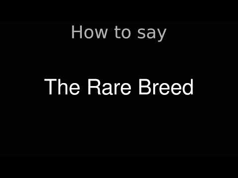 How to Pronounce correctly The Rare Breed (Movie)
