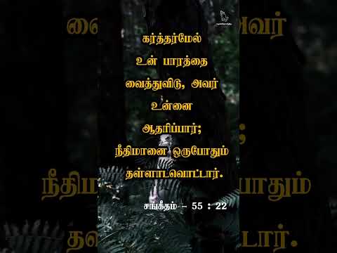 Daily Bible Verse|சங்கீதம்-55:22|Psalms-55:22 #shorts
