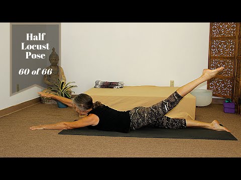Half Locust Pose - Ardha Salabhasana 60 of 66