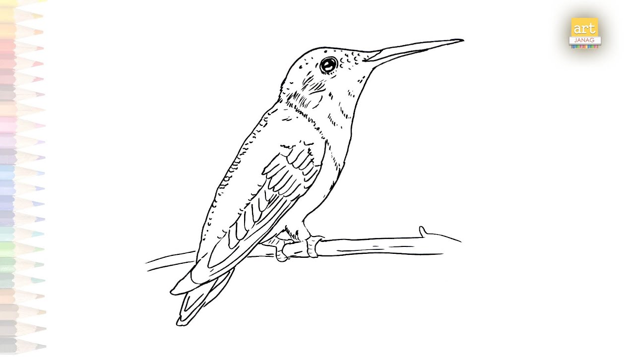 Ruby throated Hummingbird drawing |Hummingbird drawing videos |How to draw Ruby throated Hummingbird